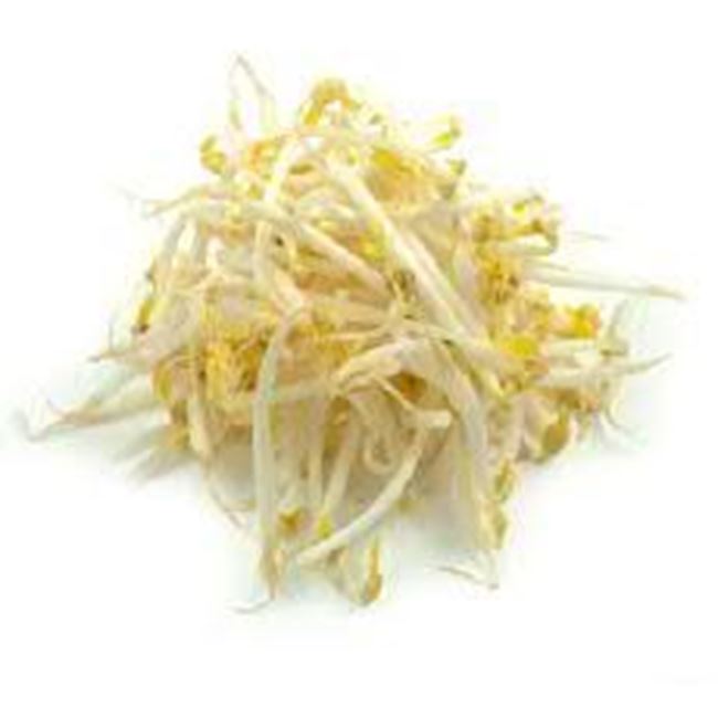 BEAN SPROUTS BAG 250GM : Village Fruits Mt Eliza